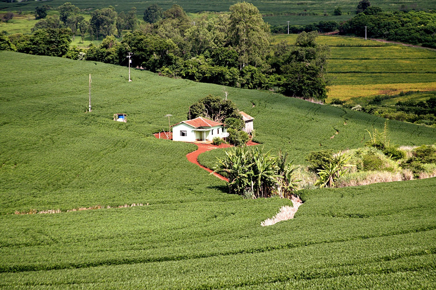 STJ define que cabe ao devedor provar que imóvel rural é explorado pela ...